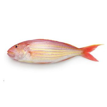 Threadfin Bream (Chakori) Fresh Fish | Anbar Fish Karachi