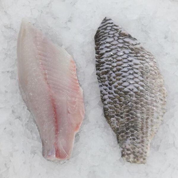 Tilapia Fish Fillet - Anbar Fish - Karachi